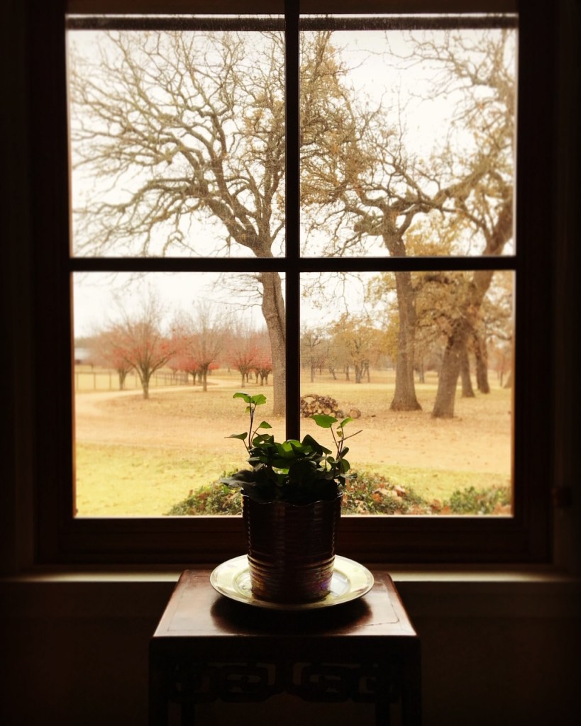 10 Reasons Why it’s Better to Own Less Stuff